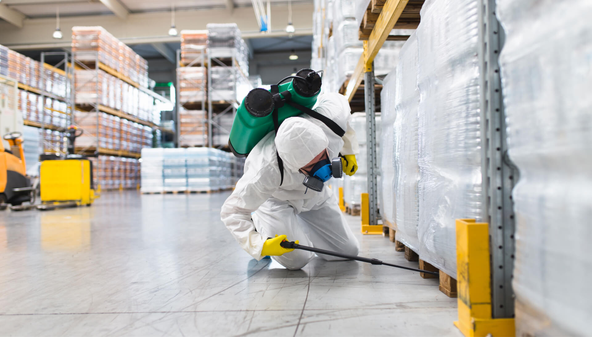 York Termite Control | Termite Monitoring Systems